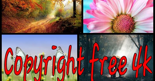 Top 10 Website To Download Copyright Restriction free images - Stechadda