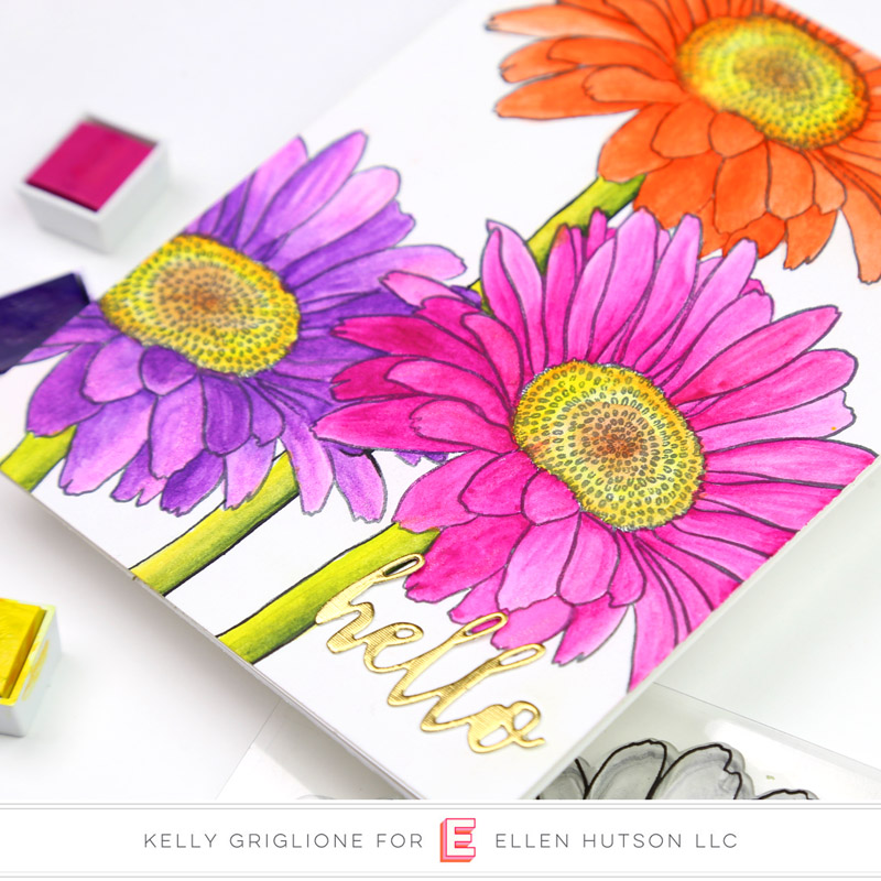 Notable Nest: February Essentials By Ellen Release: Mondo Daisy