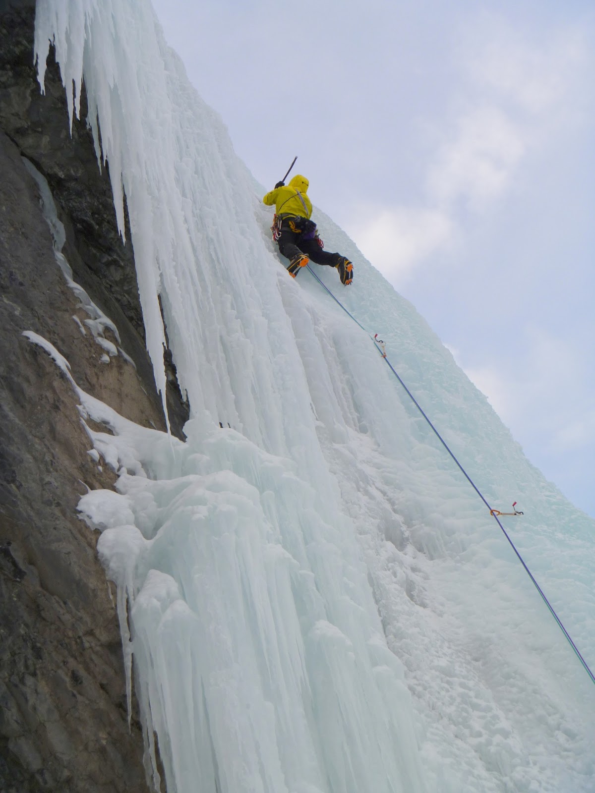 Cold Thistle: Alpha FL and Shift LT shells?