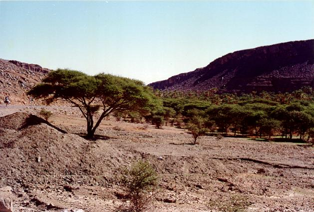 Caractéristiques de l’étage ARIDE au Maroc