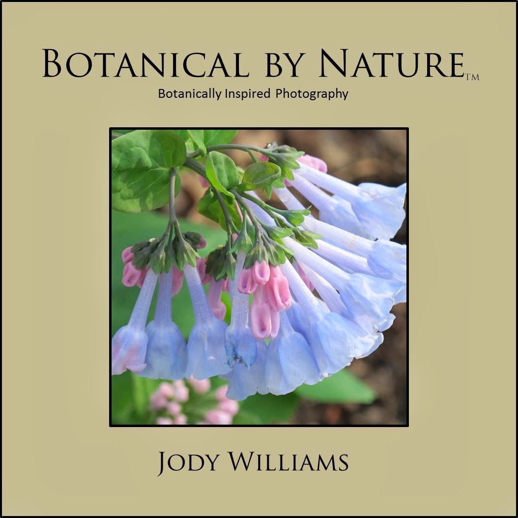 Botanical by Nature: Photography