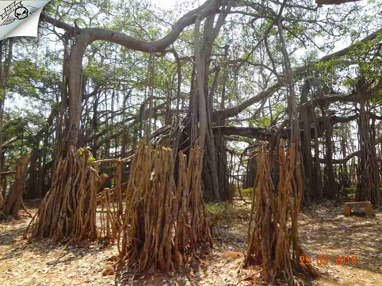 Manchinbele dam - Incredible View 29/03/2015