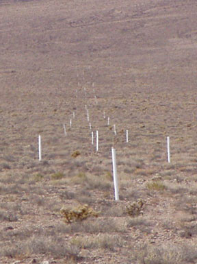 Arizona Geology: Bird deaths in mining claim markers
