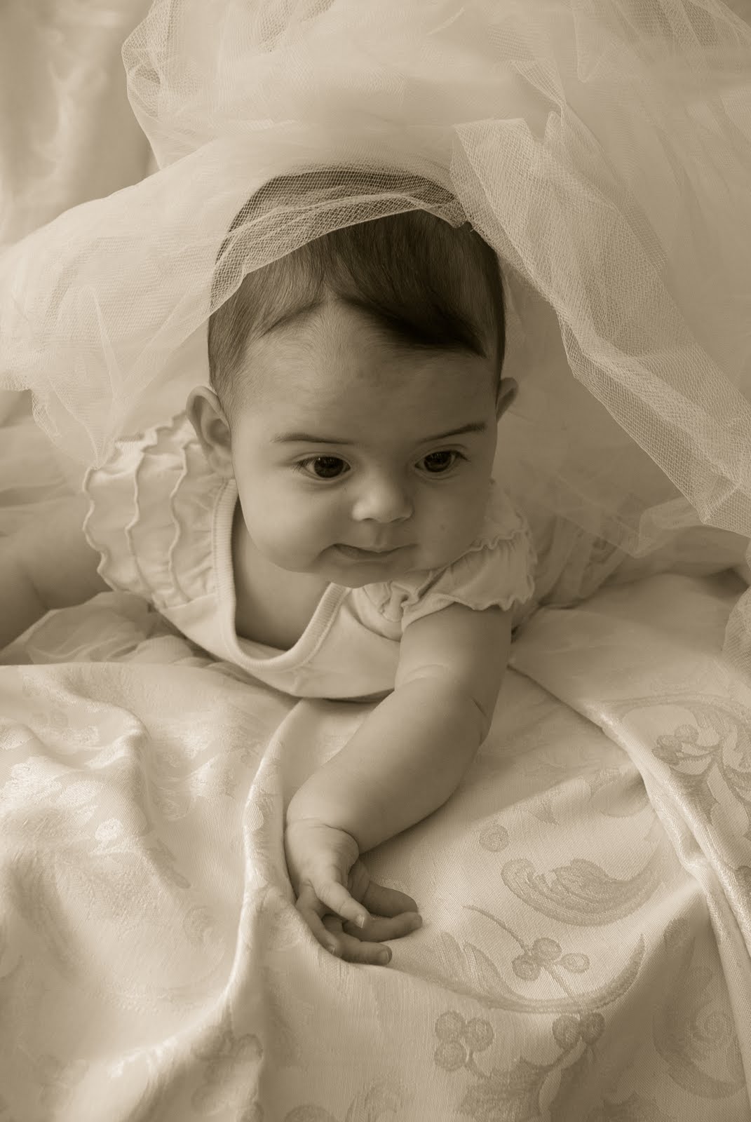dianemasonphotography: LITTLE MISS AVA
