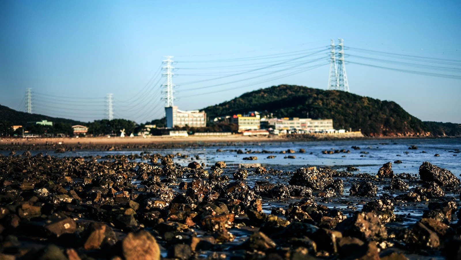 Daebu Island - The Gorgeous Natural Utopia | GGTour (Gyeonggi Tourism)