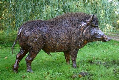 World Animals: Boar (A sounder)