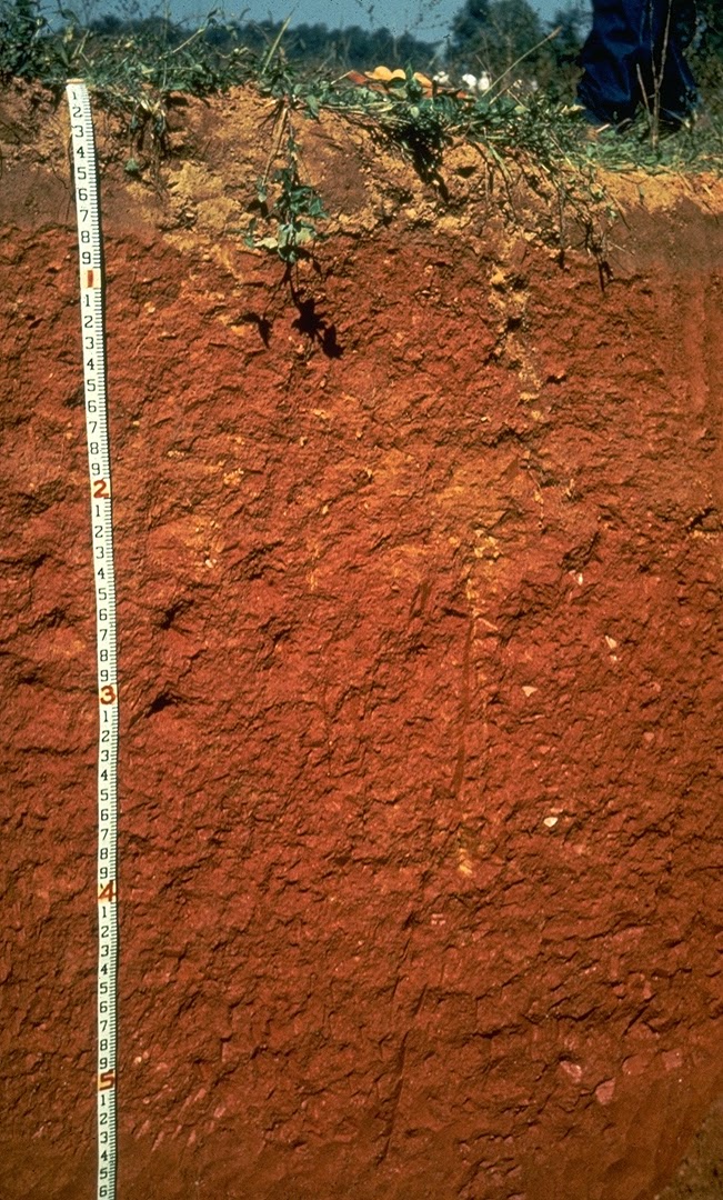 Gemar Membaca: Indikator 33. Jenis-jenis tanah