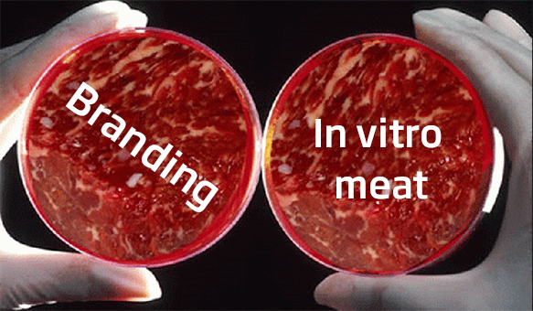 Roadside Retail: From the lab to the design studio