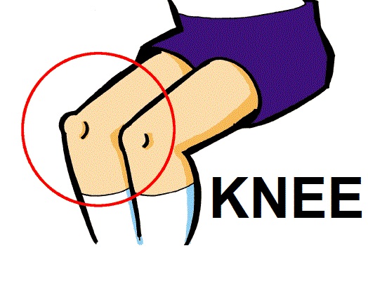 PIBID UEL Inglês - 2011: Parts of the body