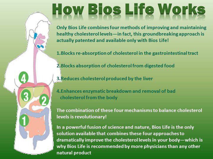Bios Life Slim™ Frequently Asked Questions | 4HealthyLifeNow in Chicago ...