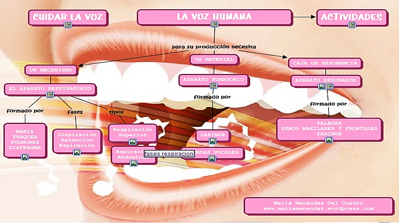 Timbre de la Voz: TIMBRE DE LA VOZ HUMANA