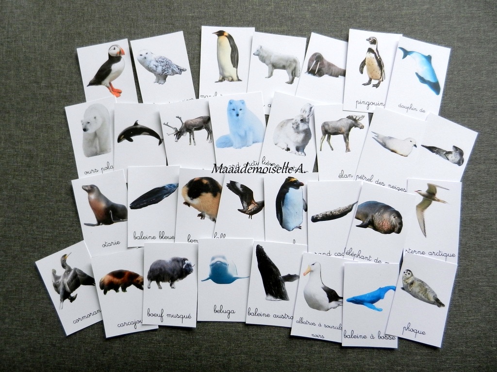 Maaademoiselle A.: || Cartes de nomenclature à télécharger gratuitement ...