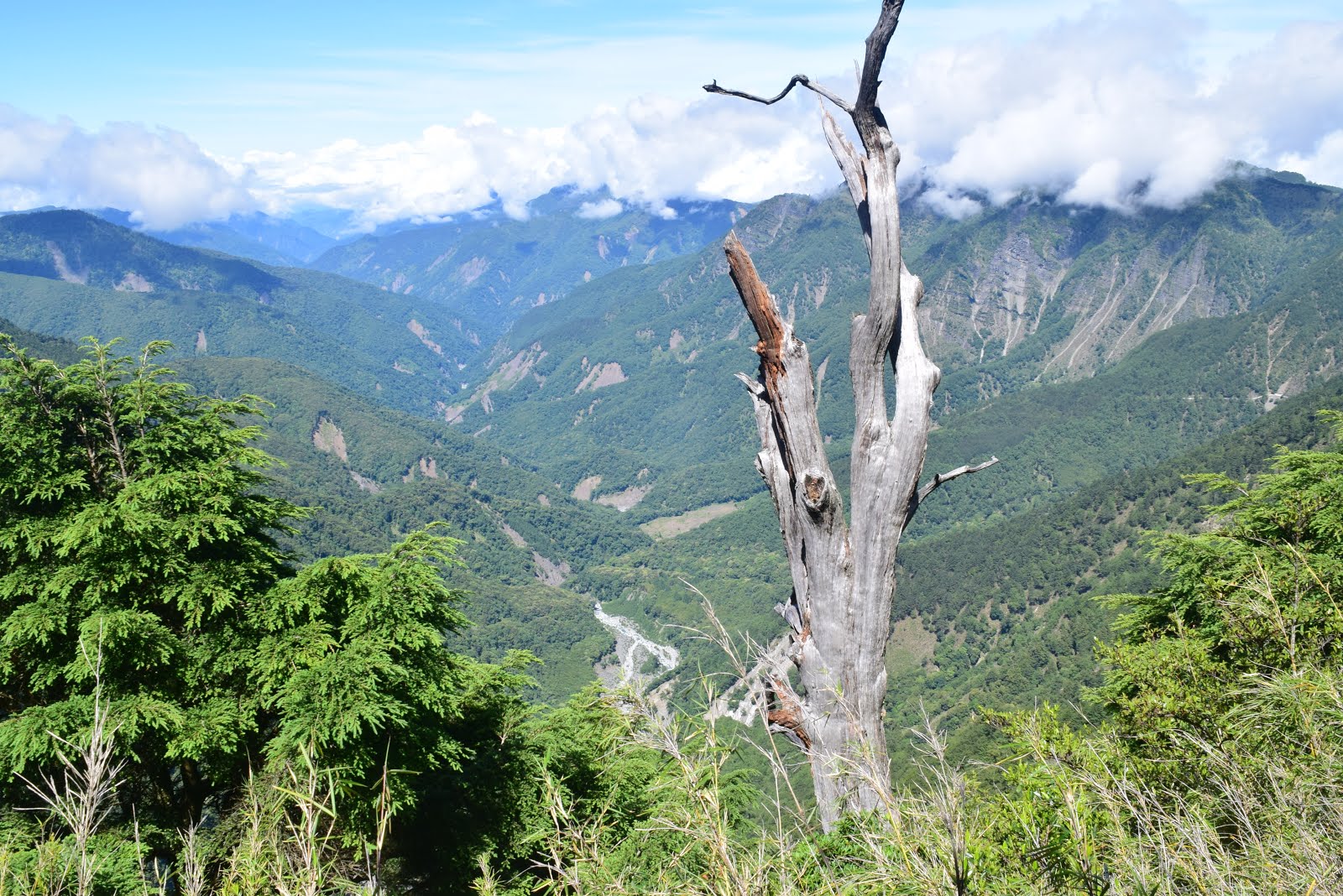Kidd in Asia: Hiking Yushan (Jade Mountain): Taiwan's Highest Peak
