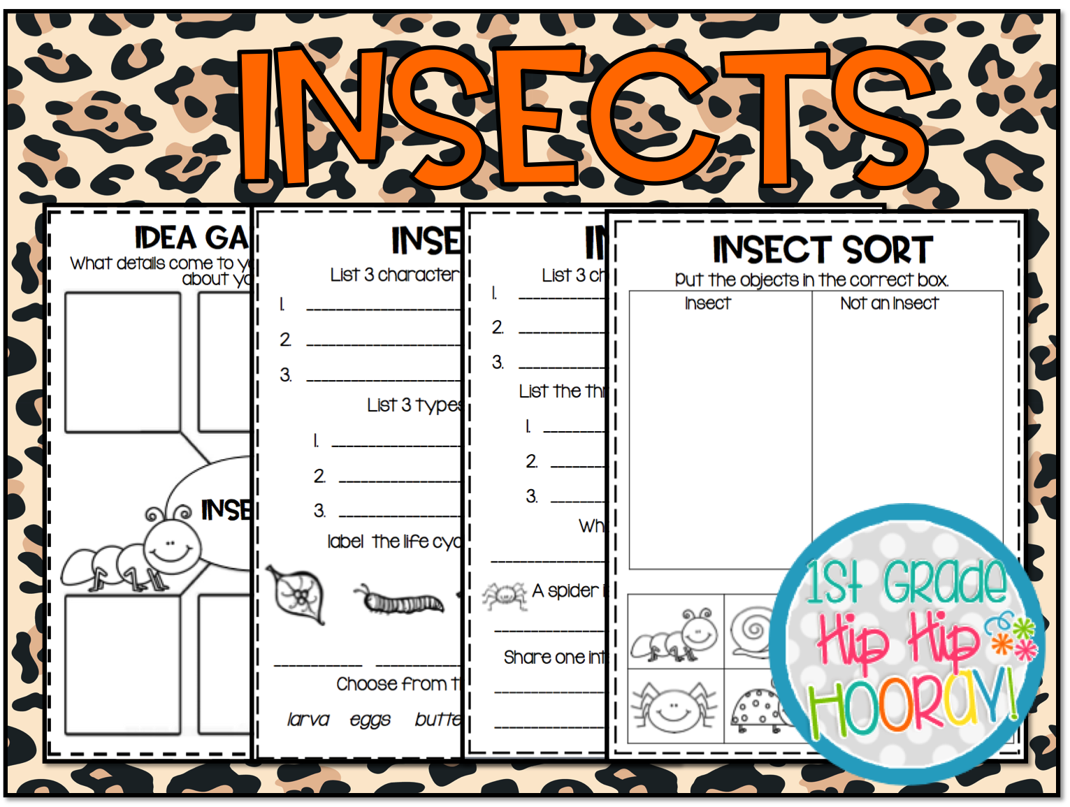 1st Grade Hip Hip Hooray!: Let's Explore Insects