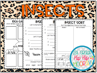 1st Grade Hip Hip Hooray!: Let's Explore Insects