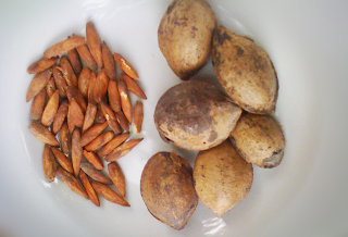 Le kôkôman, l'histoire d'un homme | Afrocuisine