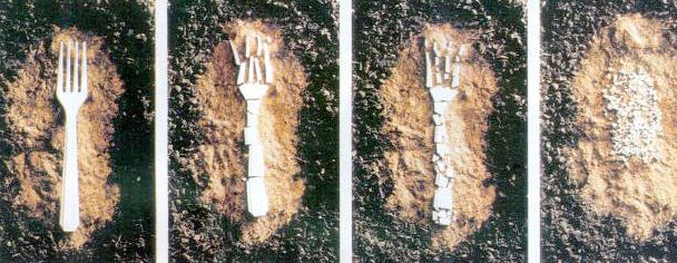 KSJBIO: #60 Why does plastic degrade slower than other substances (English)