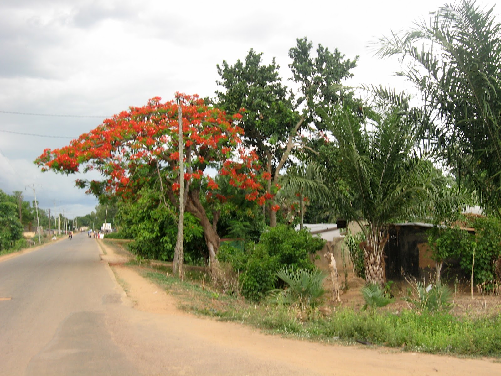 Projet Togo: Sokodé
