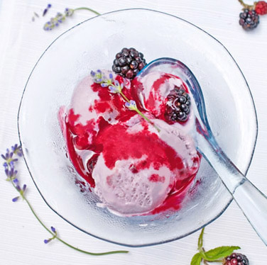 Blackberry (or Black Raspberry) Sauce-Simple, Summery, Sensational ...