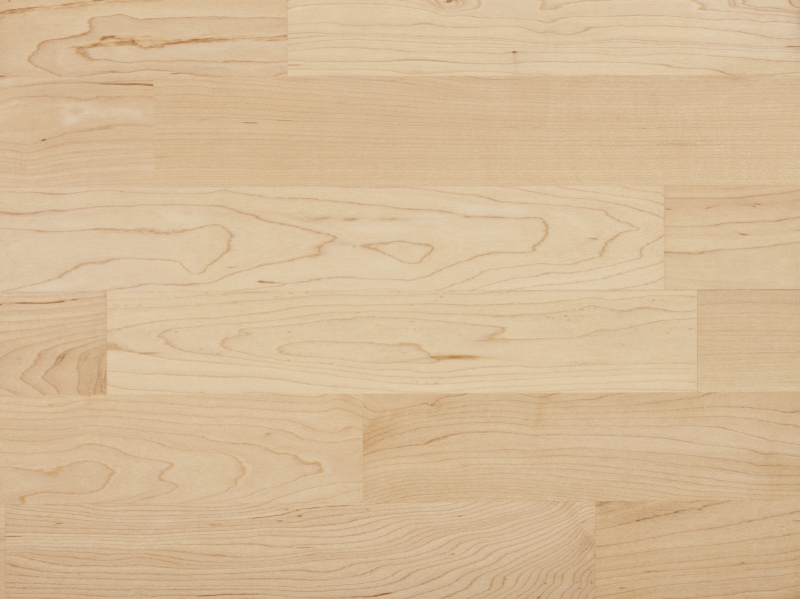 all about acoustic guitar: Jenis kayu maple dan kegunaannya pada gitar