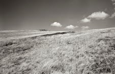 The Southern Photographer: Photography in North Carolina -- Midsummer 2013