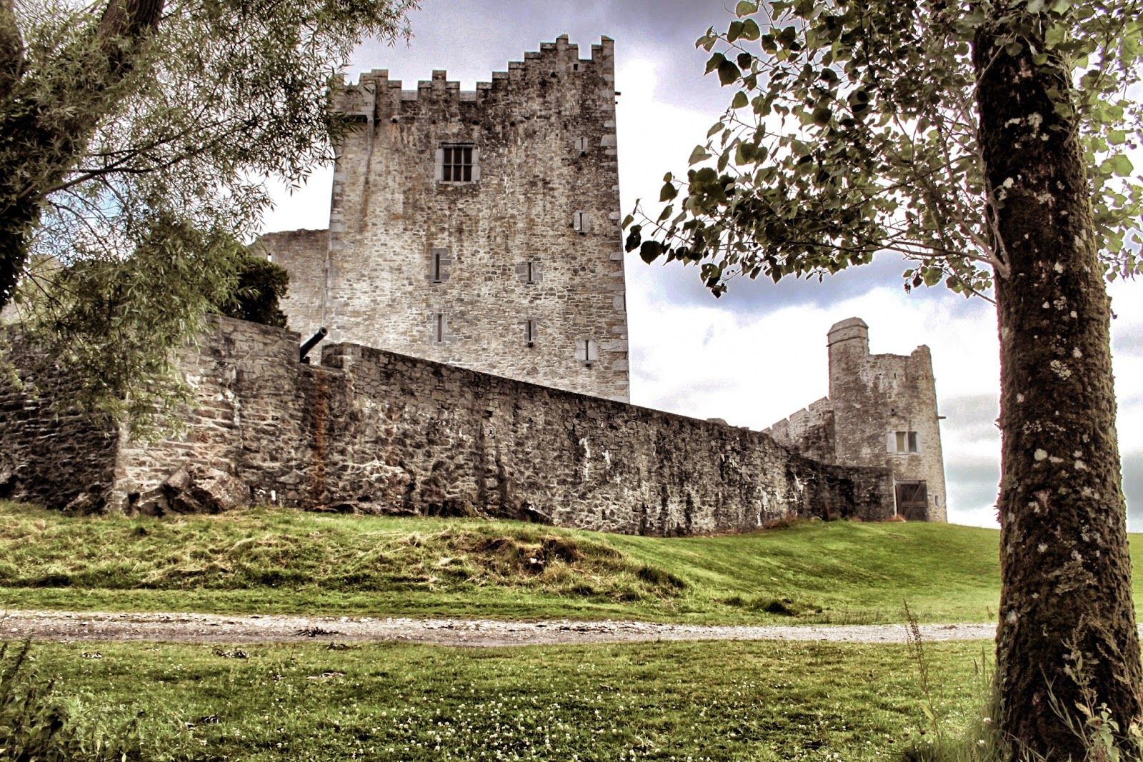 Historic Sites of Ireland: Ross Castle