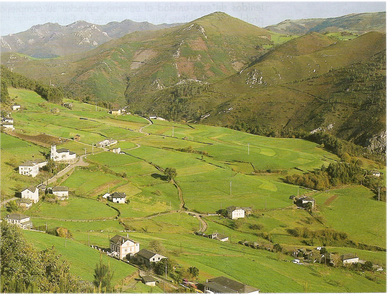 Elements del paisatge agrari - Mind42