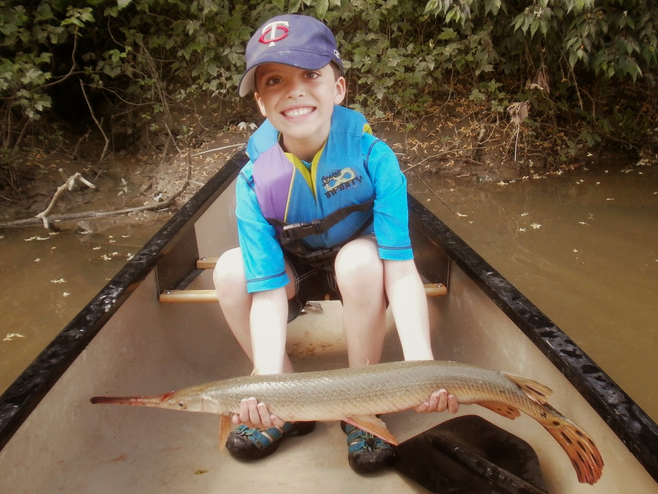 Canoeing In Ohio: Longnose Gar Next >