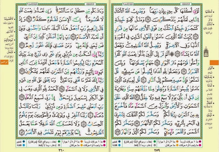 صور صفحات القرآن - Pages of the Quran: 241-270