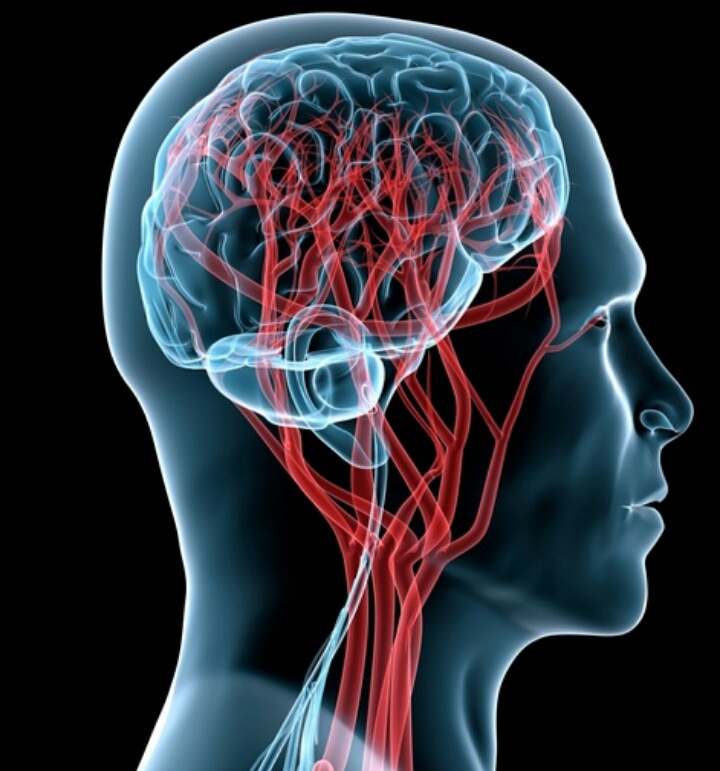 Cara Mempertahankan Fungsi Kerja Otak yang Optimal Selama Berpuasa ...