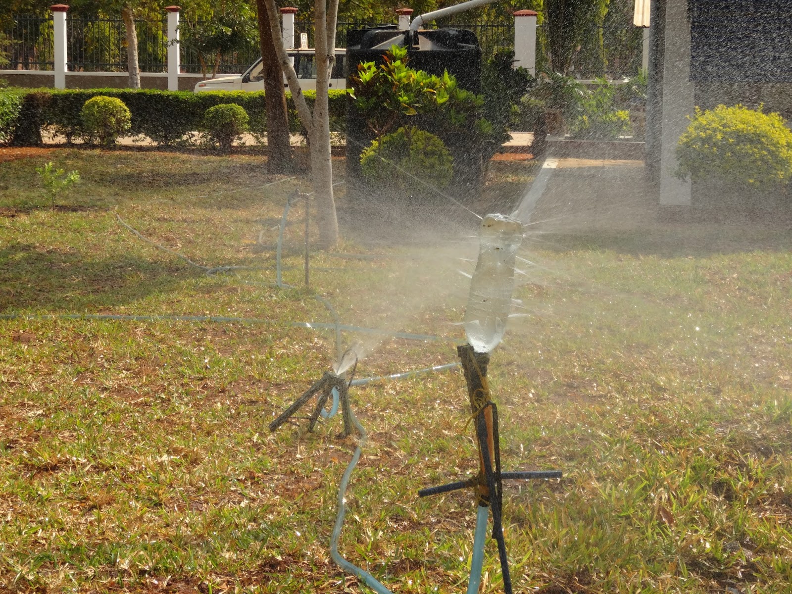 CATHY - HABARI: WANAFUNZI WA SHULE YA SEKONDARI MSAMALA SONGEA ...