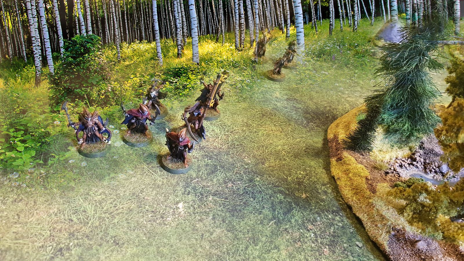 Kampfgruppe Engel: Mörkeralver, troll och illvättingar - Dragon Rampant AAR
