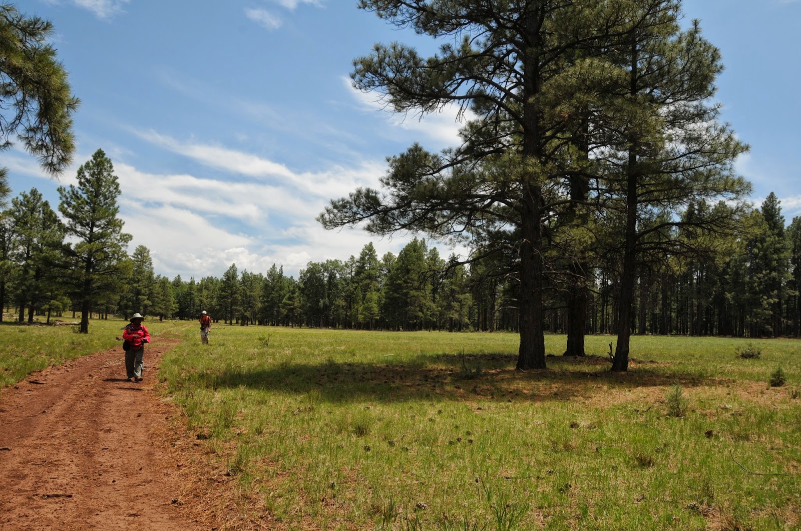 Arizona Hiking: PINE SPRING TRAILHEAD