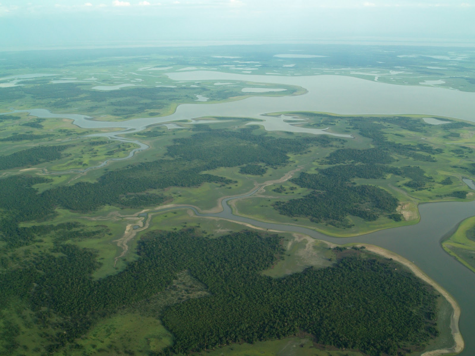 Chasing the Sun: Amazon Views