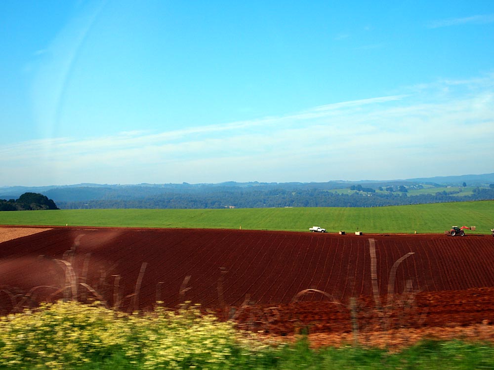 Dennis Argall: Colours of Tasmania