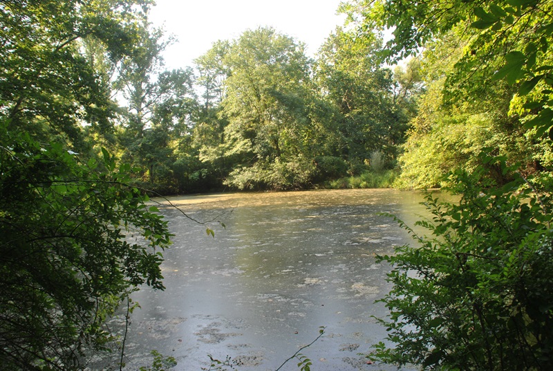 Southeastern PA Hiking: Horse-Shoe Trail - Great Valley Nature Center ...