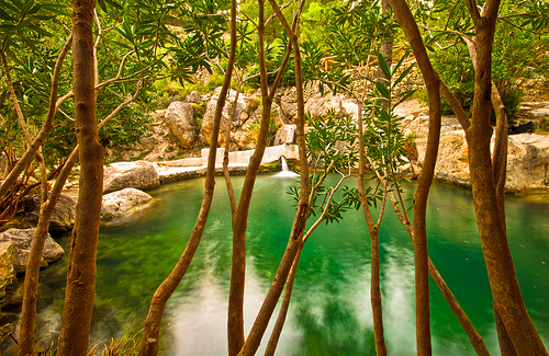 FONT MAJOR DE SELLA: Área recreativa en la Sierra de Aitana