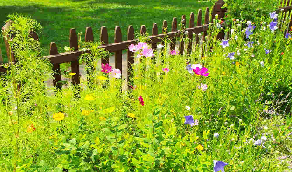 PLAINFIELD TODAY: New fencing graces Shakespeare Garden