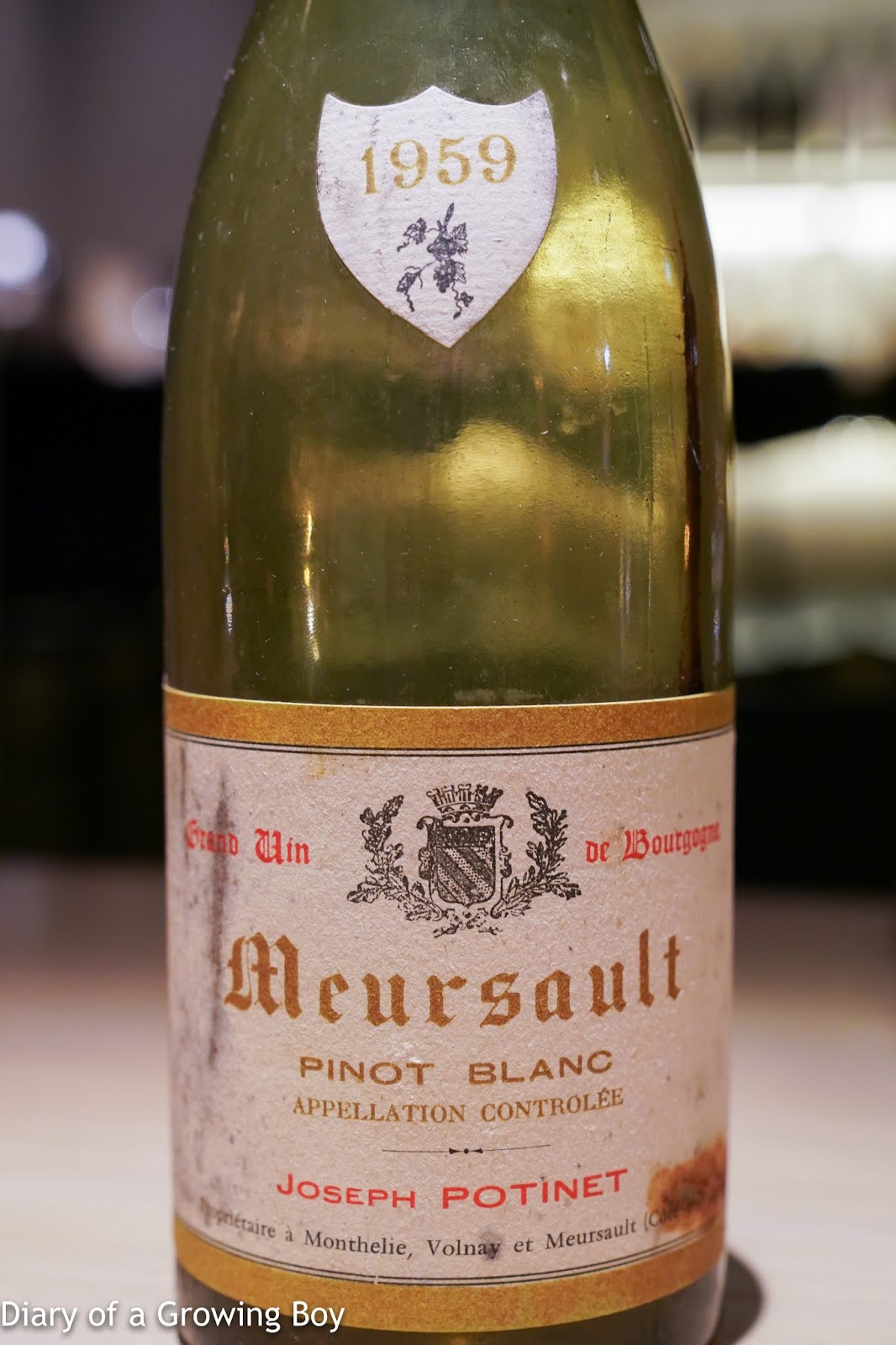 吃喝玩樂 - Diary of a Growing Boy: One night in Burghood