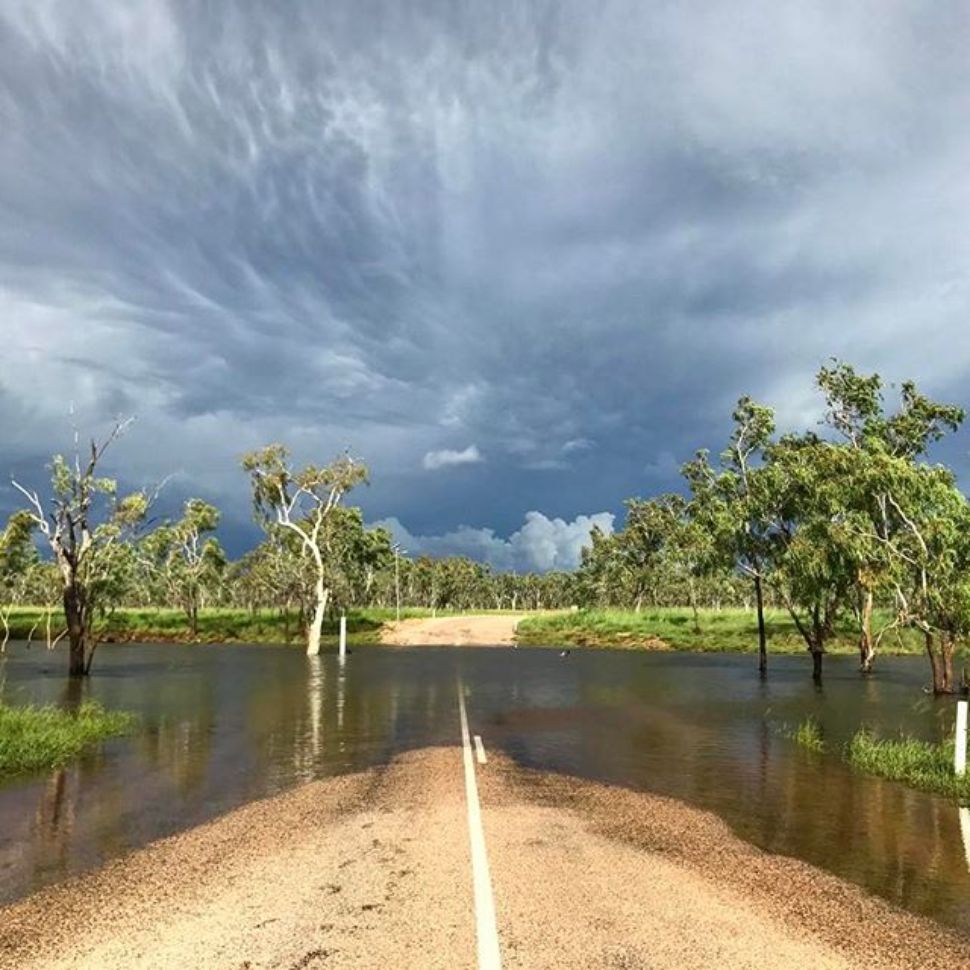 anna maria: Today's ABC Open photos