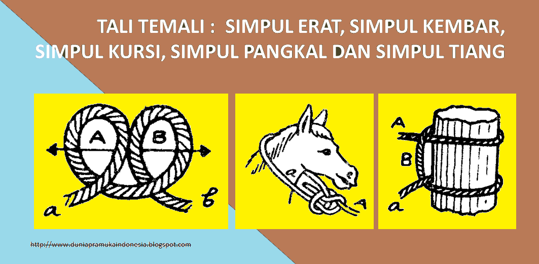 DUNIA PRAMUKA INDONESIA: Contoh Ikatan simpul Dalam Pramuka