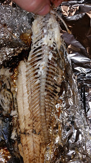 The 7 P's Blog: Catfish From Pond To Plate: Demonstration Of The ...