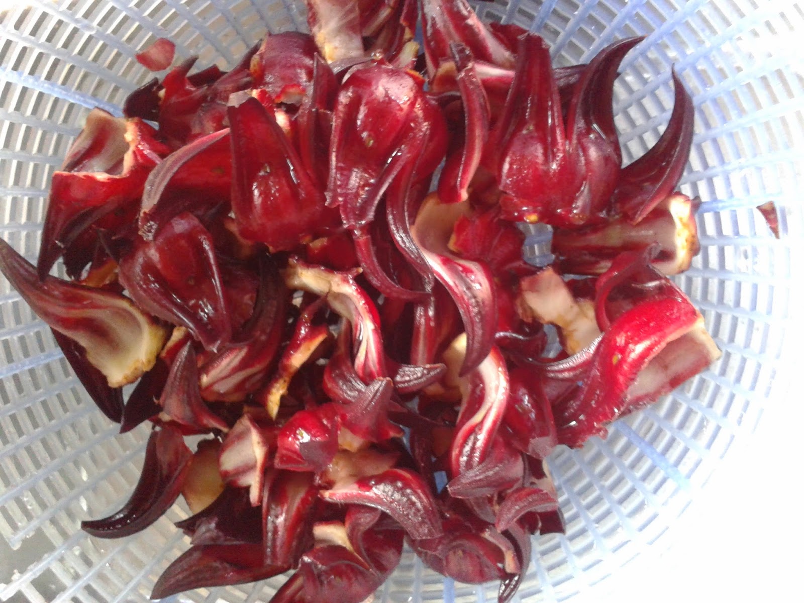 My Story : Cara membuat Jus Rozel