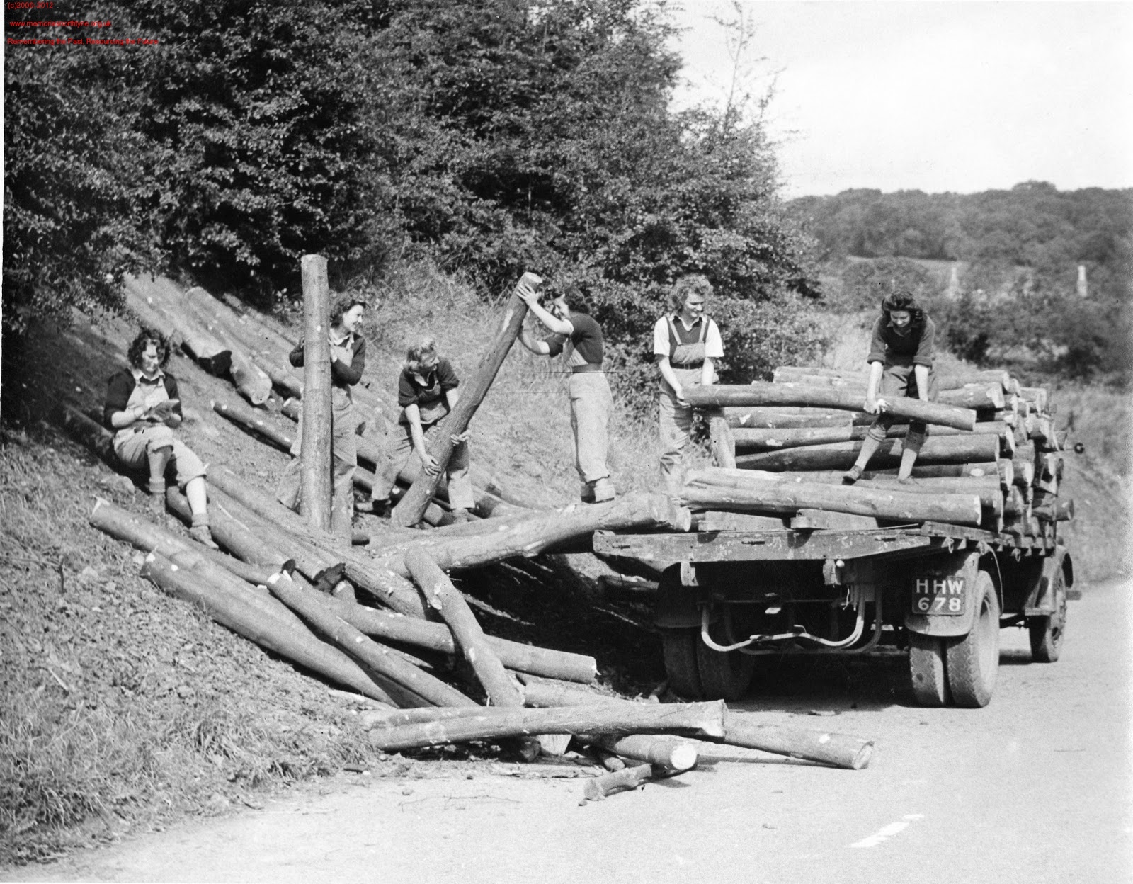 Long May She Rain : Lumberjills of The Women's Timber Corps