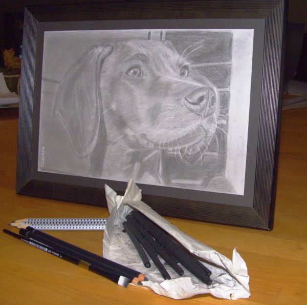 Magyar Vizsla S.O.S.: Vizslás grafika a beteg vizslababák javára ...