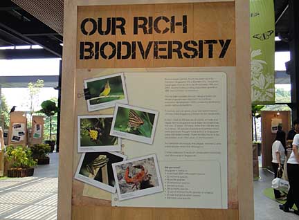 wild shores of singapore: 21 Apr-2 May: Exhibition on "A decade of ...