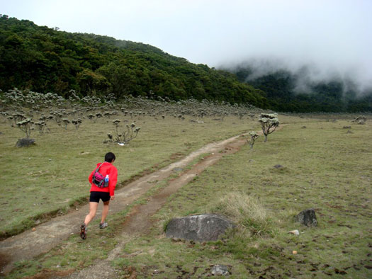 KC & the Sunshine Runners: Skyrunning at Mt Gede