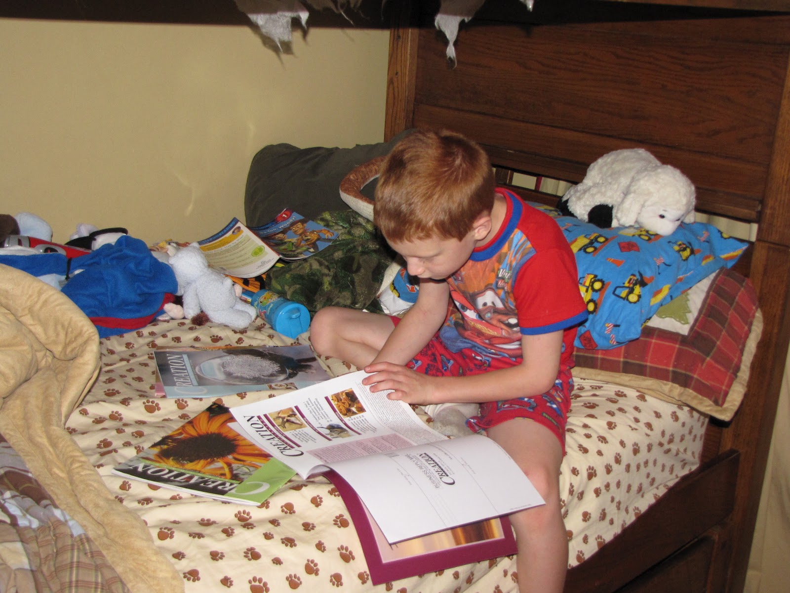 Purposeful Homemaking: Creation Illustrated Review