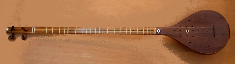 INSTRUMUNDO Instrumentos Musicales: Setar, Sehtar, Citar