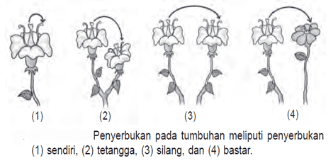 MAKALAH PERKEMBANGBIAKAN MAKHLUK HIDUP